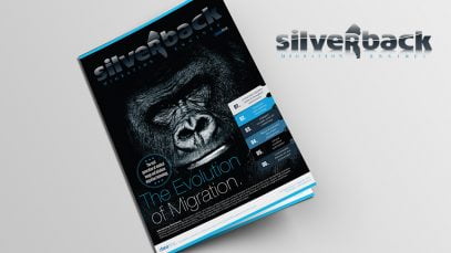 Datafirst | Magazine Layout • TigerHive Creative Group • Raleigh, NC